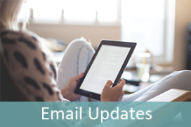 Connect - Carnegie-Stout Public Library