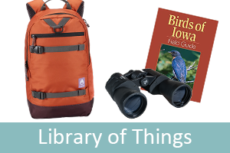 Check It Out - Carnegie-Stout Public Library