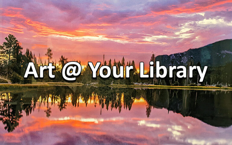 Carnegie-Stout Public Library